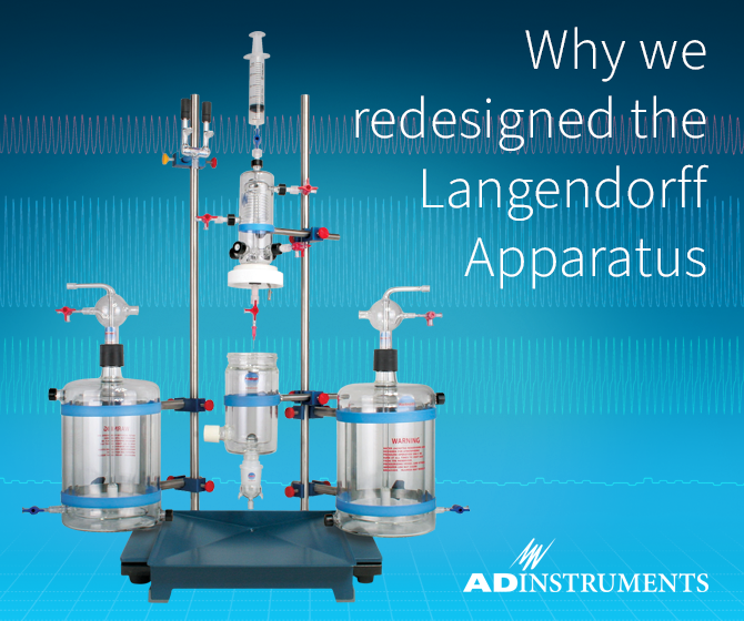 为什么我们重新设计 Langendorff 装置 | ADInstruments