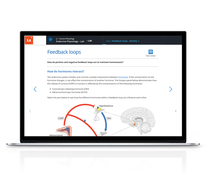 Endocrine Lab Online | Endocrine System Physiology Lab Activity | Lt