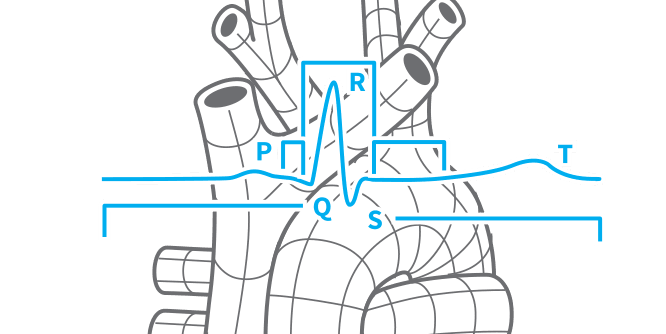 教学用 LabChart | ADInstruments