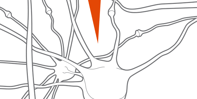 Lt LabStation Support | ADInstruments
