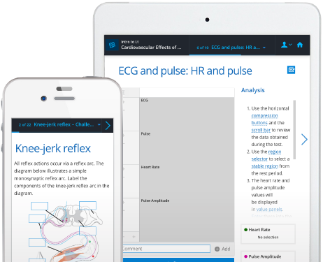 Experience of Lt on Different Devices | ADInstruments