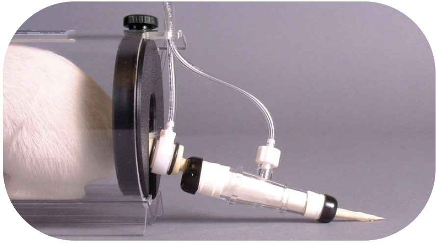 Tips and tricks for setting up your CODA Monitor for non-invasive blood ...